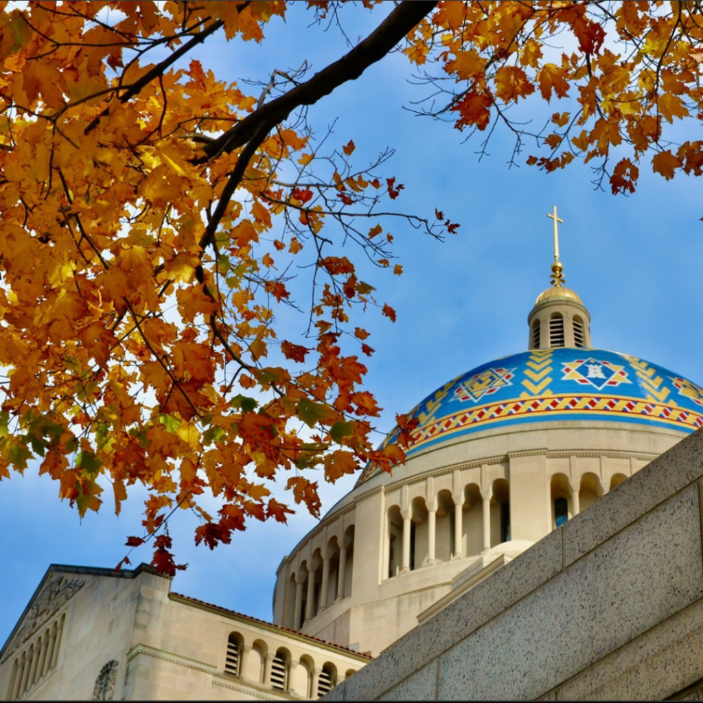 A Celebration of Gratitude: Verses, Quotes, and Reflections - National ...
