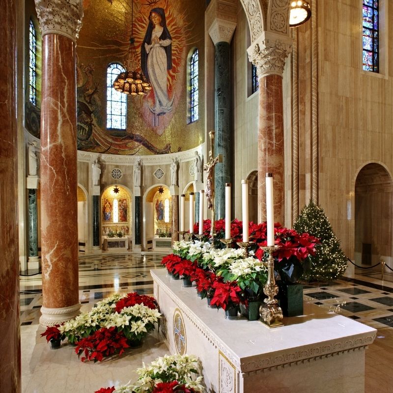 A Guide to Advent and Christmas 2020 - National Shrine of the ...