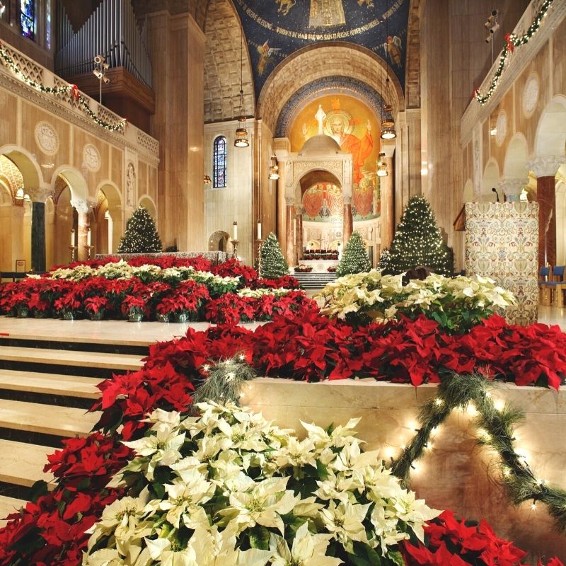 A Guide to Advent and Christmas 2020 - National Shrine of the ...