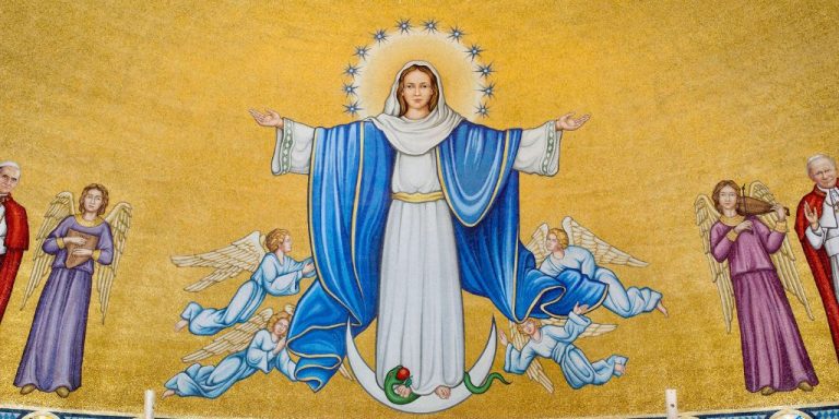 7 Places to Find Mary as the Immaculate Conception in the Basilica ...