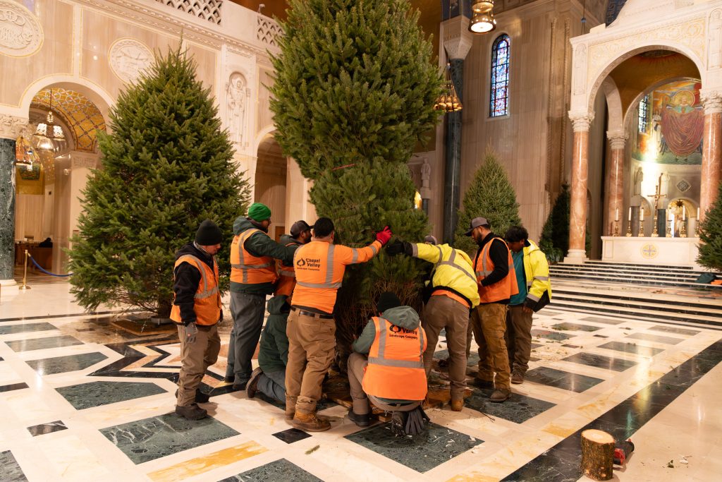 5 Facts About Christmas at America’s Catholic Church - National Shrine ...