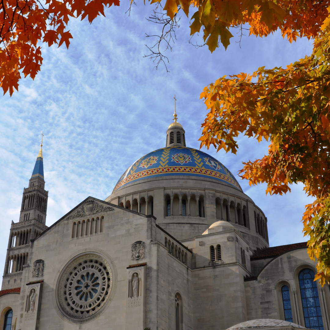 A Celebration of Gratitude: Verses, Quotes, and Reflections - National ...